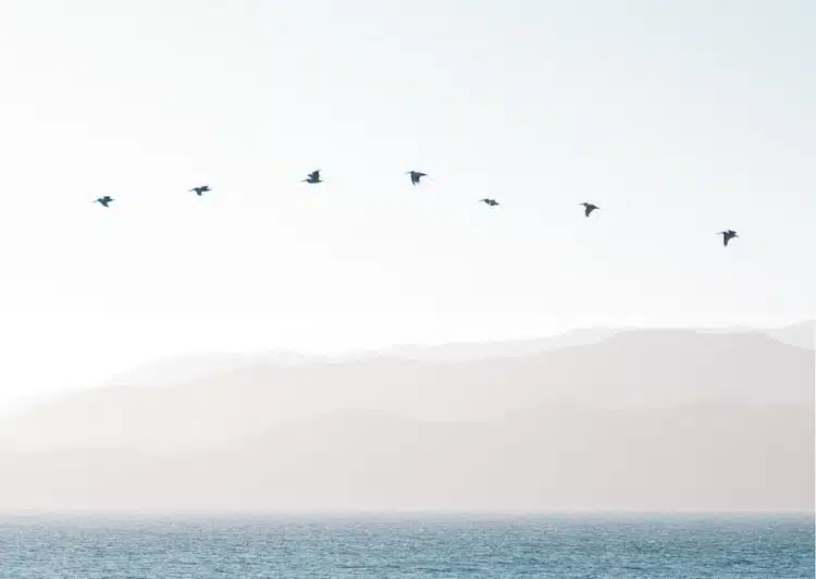5 steps to simplify your life - Kate James is a life coach, career and ... 5 steps to simplify your life - Kate James is a life coach, career and ...